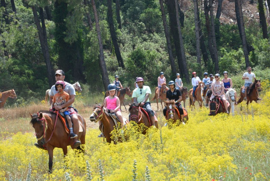 At Safari – Har Tours